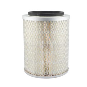 AF25653 | FLEETGUARD del producto | Filtros ·Vehículos ·Agro ·Industria ...